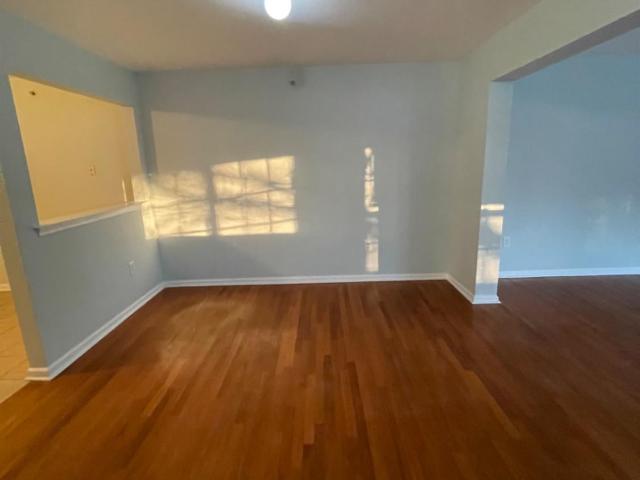 234 Pinelli Drive