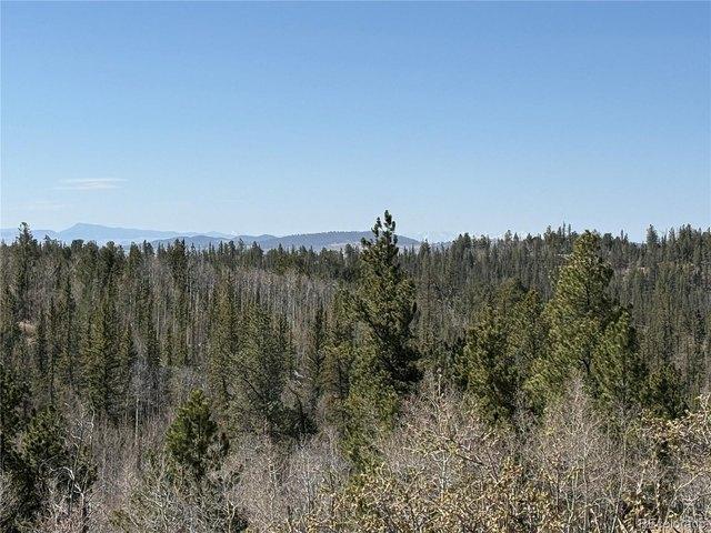 234 Warclub Ct, Jefferson, CO 80456