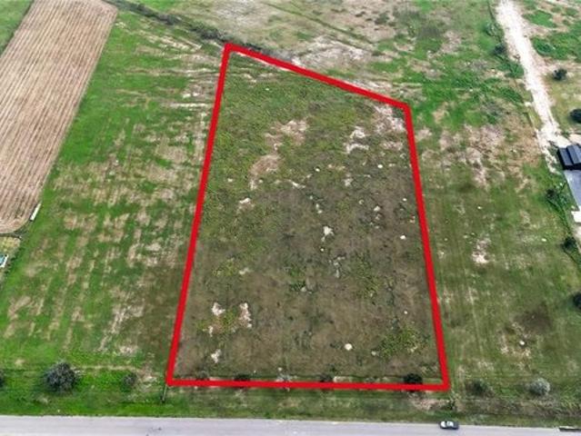 23540 Oak Hill Dr, Monte Alto, TX 78538