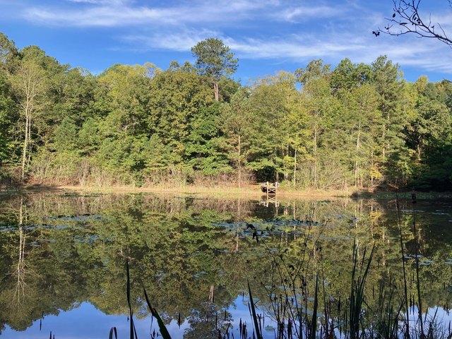 2354 Elders Mill Rd, FL