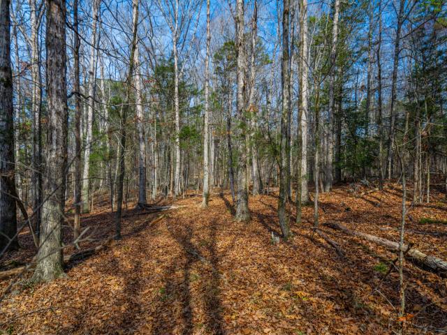 2354 Jones Ferry Rd, Pittsboro, NC 27312 | MLS #10152