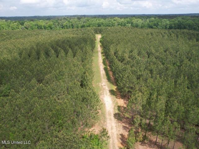 2355 Willie Redden Road