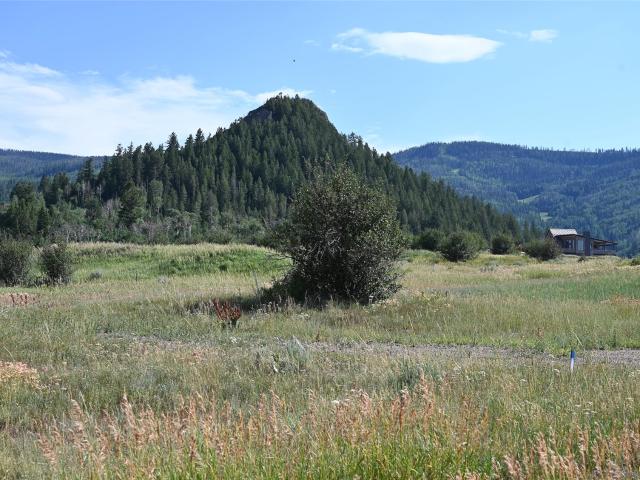 23590 Young Creek Way, Oak Creek, CO 80467 | MLS #S1069