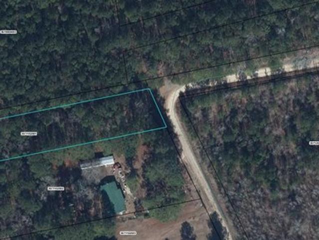 2350 Sunday Afternon Park, Olanta, SC 29114