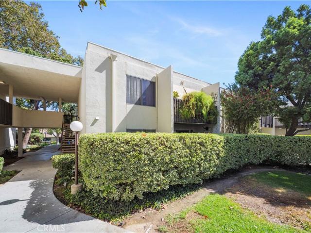 23515 Lyons 261