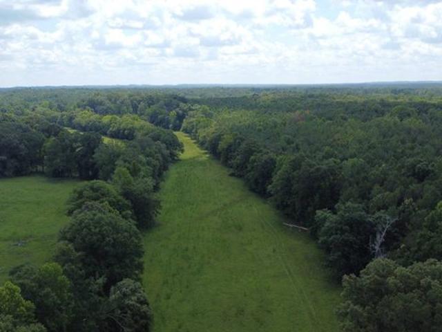 2351 Old Sellers Rd, Ada, AL 36069