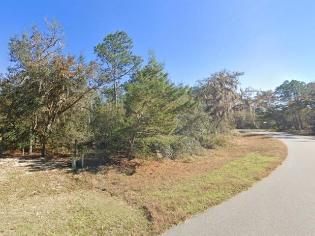 2352 County Road 243B, Wildwood, FL 34785 | MLS #O6390 | Compass
