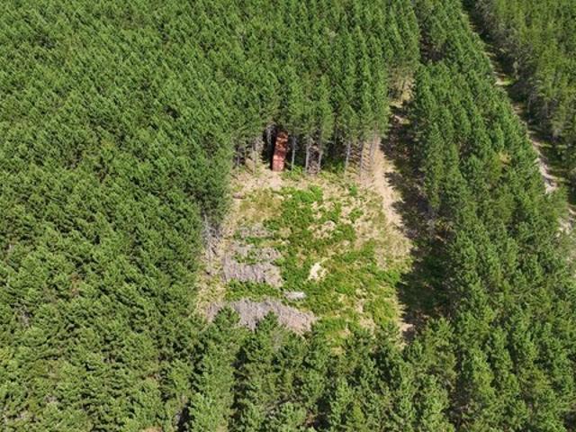 2353 Cth Y, Tomahawk, WI 54487