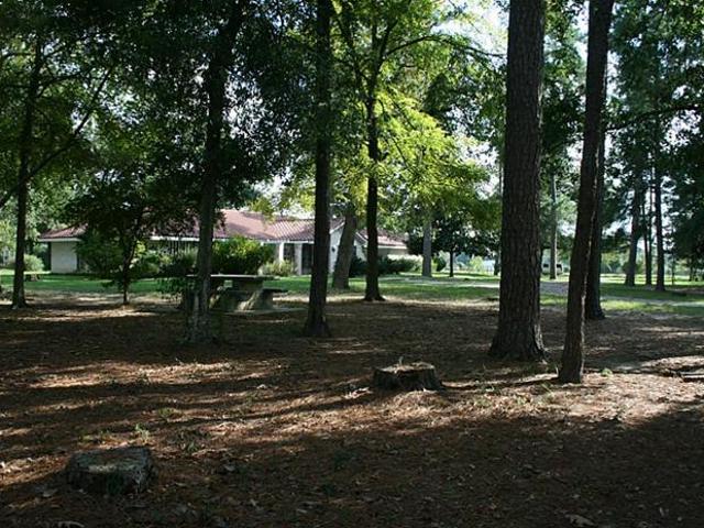 2353 FM 2610 for sale in Ace, Texas