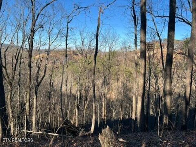 2353 Headrick Lead, Sevierville, TN 37862 | MLS #1329