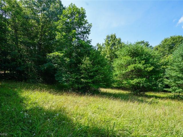 235 Butterbean Ridge Rd
