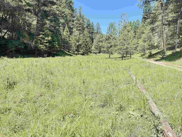 235 Dark Canyon Rd, Cloudcroft, NM 88317