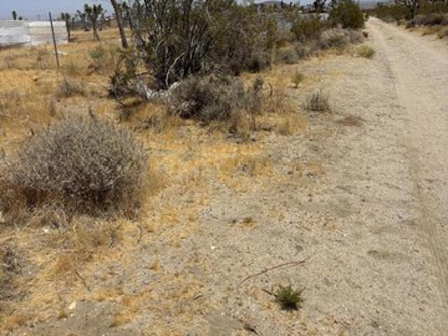 235 E Avenue W4 Ste Vic, Palmdale, CA 93591