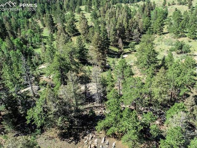235 Hay Creek Road