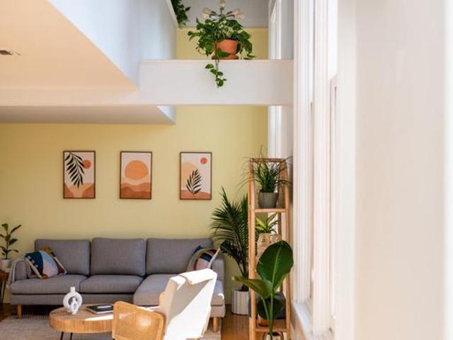 235 Locust Street # 5