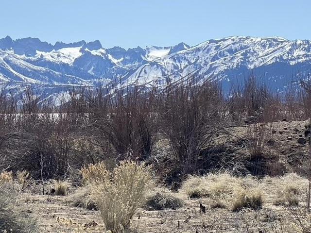 235 Lakeside Dr, Bridgeport, CA 93517