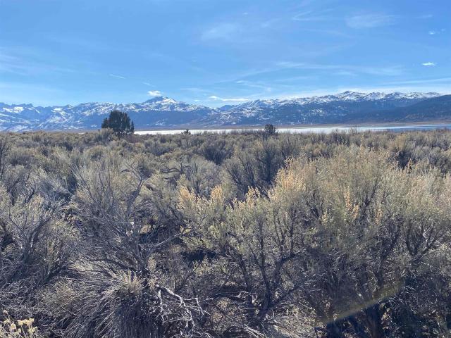 235 Lakeside Dr, Bridgeport, CA 93517 | MLS #250545