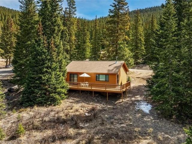 235 Nuthatch Dr, Alma, CO 80420