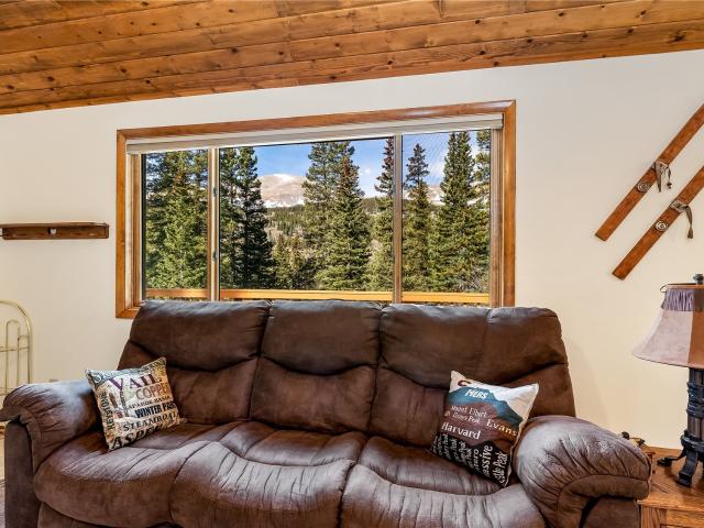 235 Nuthatch Dr, Alma, CO 80420 | MLS #S1067