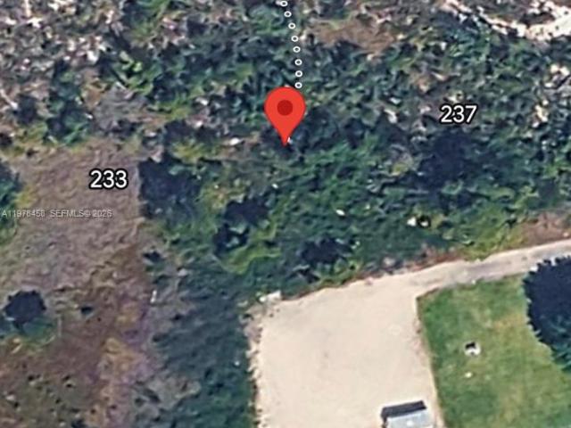 235 Pershing Ave, Lake Placid, FL 33852 | MLS #A11978