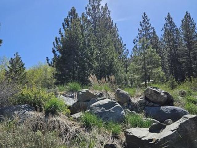235 Westwood Dr, Bridgeport, CA 93517