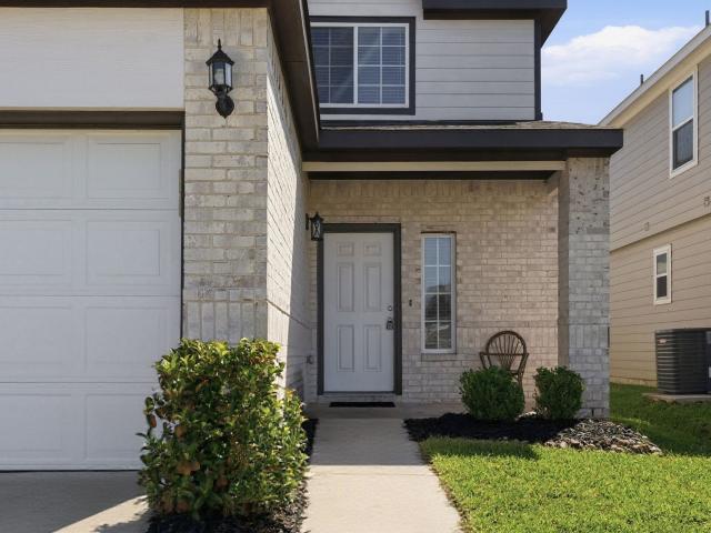 23658 Buttress Root Drive