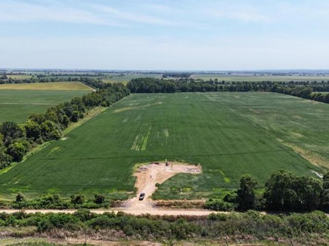 23666 Mickey Rd, Trumann, AR 72472