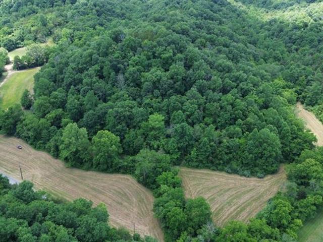 2367 Gray Gap Rd, Burkesville, KY 42717