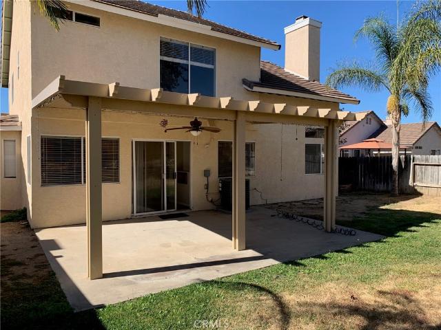 23692 Cork Oak