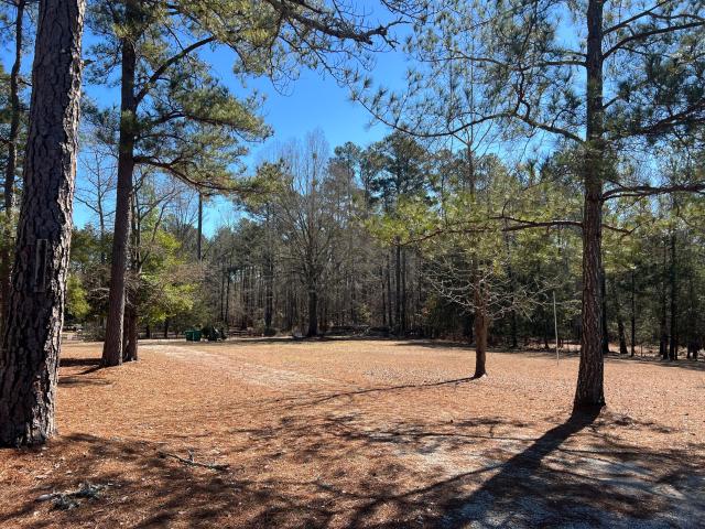 2369 Pine Ridge Drive