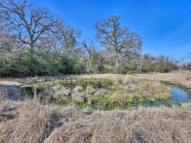 23600 Brazos Estates Road