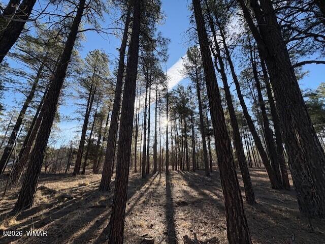 2360 Narrow Leaf Lane