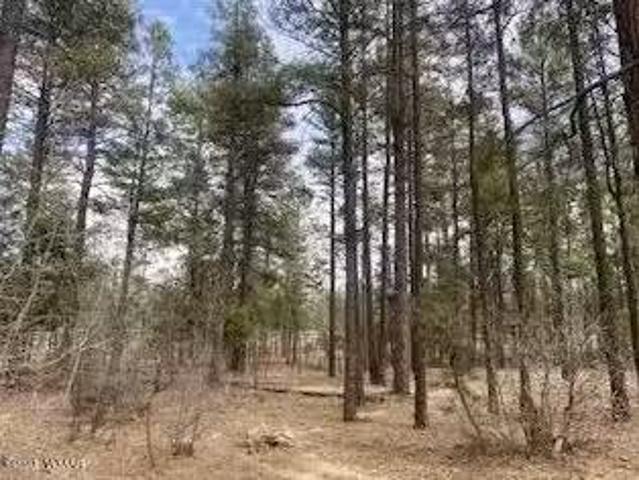 2360 Narrow Leaf Ln, Show Low, AZ 85901 MLS 253807