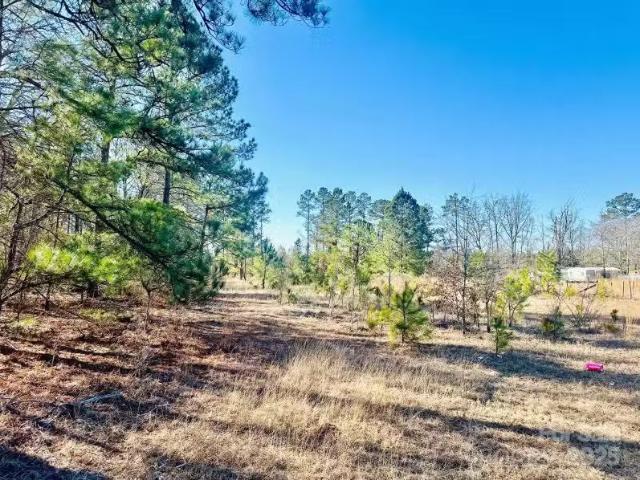 2361 Mill Creek Rd, Bethune, SC 29009 MLS 4216678