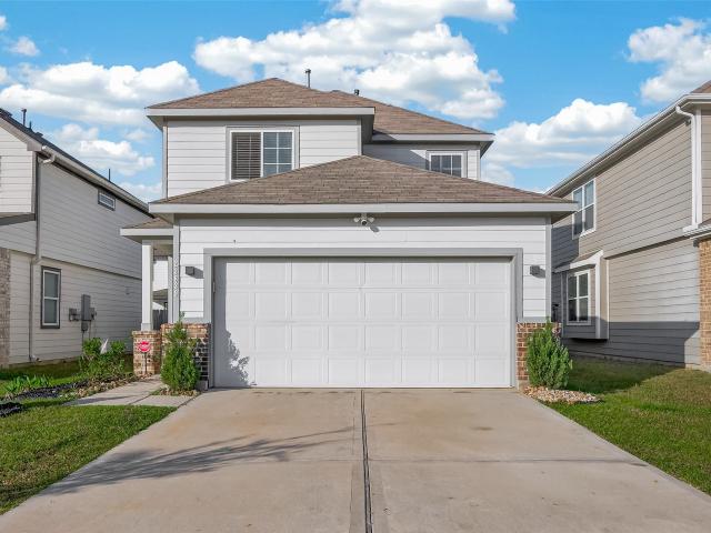 23639 Buttress Root Drive