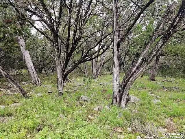 236 Country Haven, Spring Branch, TX 78070 657506701
