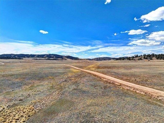 236 Cheyenne Trl Lot 38, Hartsel, CO 80449