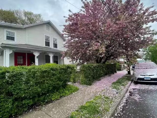 236 Davis Ave #2, Greenwich, CT 06830