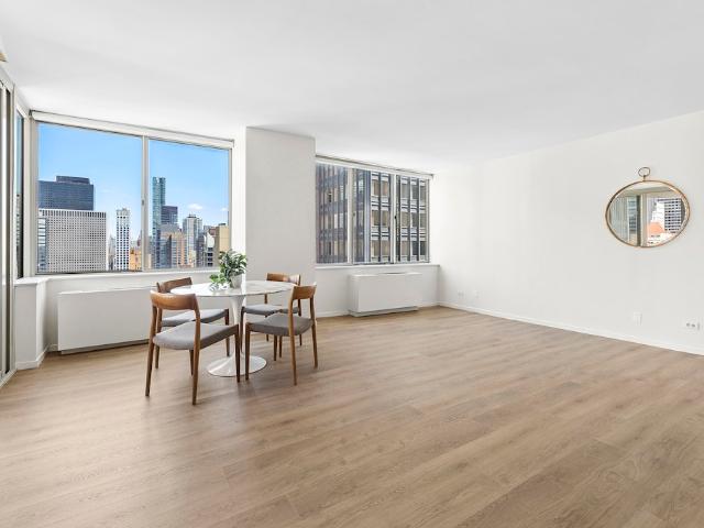 236 E 47TH Street 30E