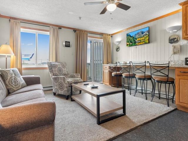236 Mountain Ldg Ln, Snowshoe, WV 26209