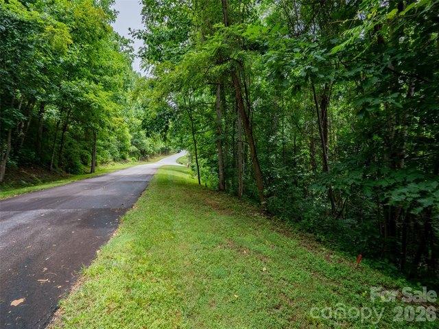 236 Nottingham Dr, Mill Spring, NC 28756