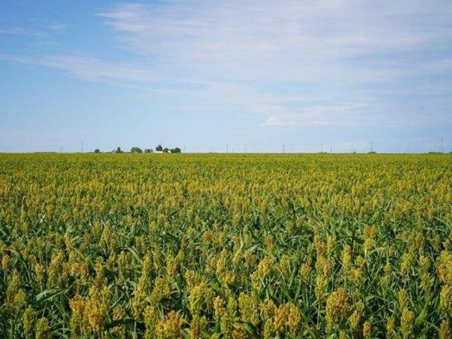 236 Rd, Offerle, KS 67563