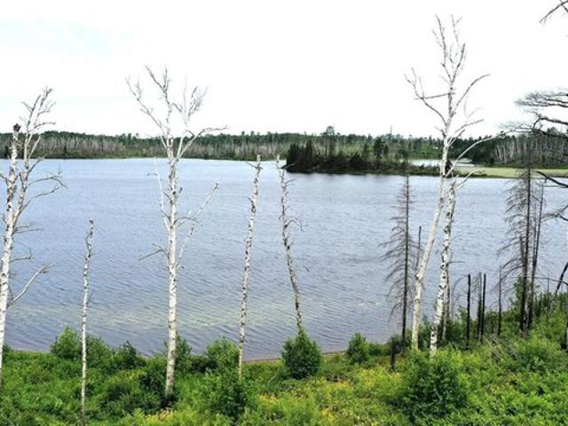 2377 N McDougal Lake Rd, Isabella, MN 55607