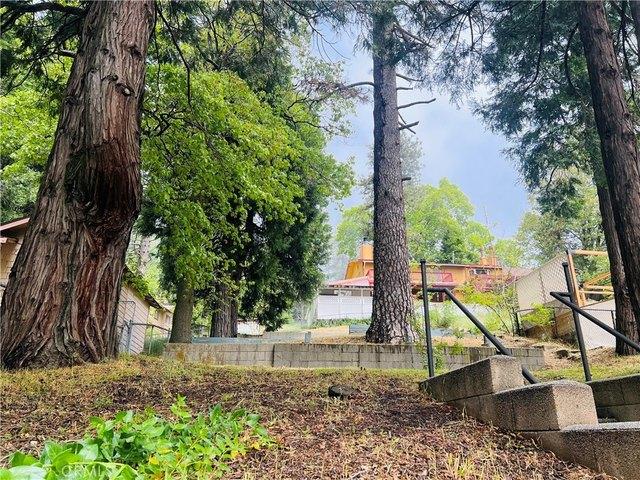 23798 Springwater Rd, Crestline, CA 92325
