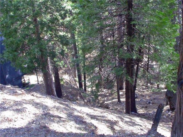 2379 Spring Oak, Running Springs, CA 92382