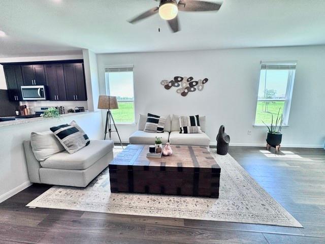 23719 Cranberry Grader Lane