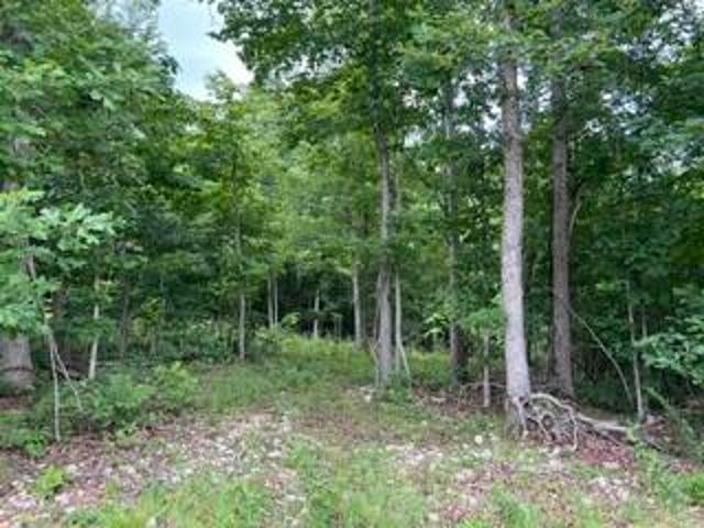 2371 County Road 359