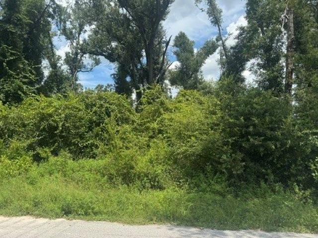 237th Ct Lot 3, Dowling Park, FL 32060