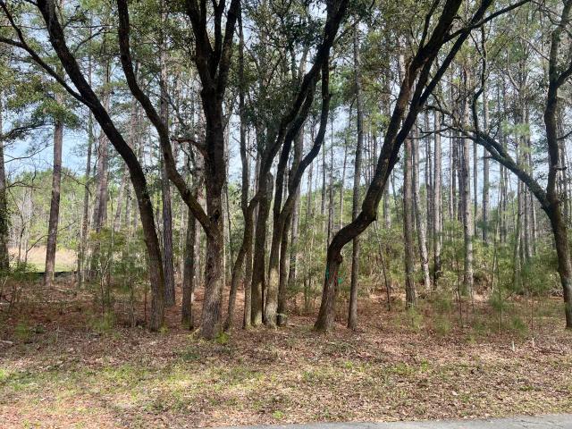 237 Founders Oak Way