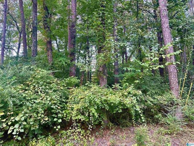 237 Sam Pate Dr Lot 0, Birmingham, AL 35215